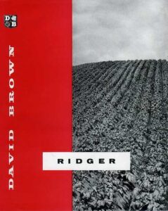 DB45 David Brown 25 - Gibbard Tractors